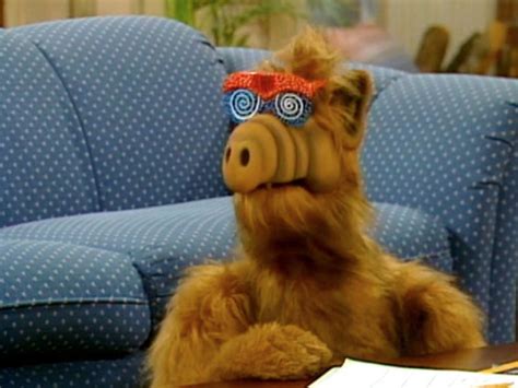 Alf Gordon Shumway From Melmak Television Series 1986 1990 Alf