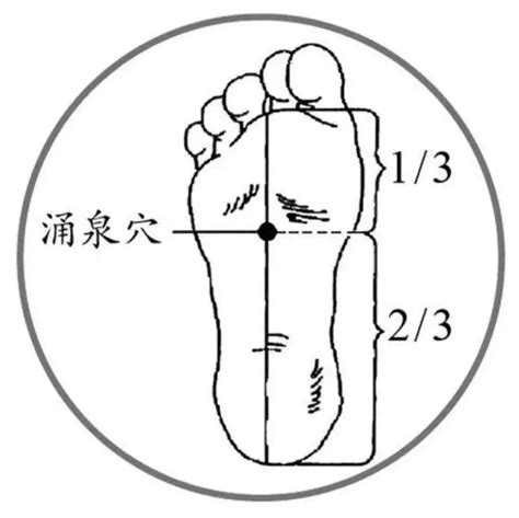 艾灸涌泉穴有多么重要 穴位 按摩 人体