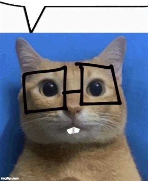 I 6ta5ydnerp 1663103410 Imgflip