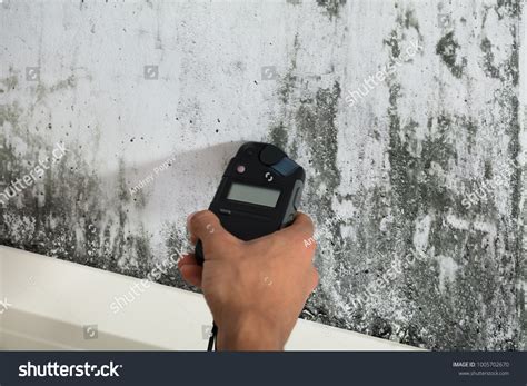 Mold Tester Images Stock Photos Vectors Shutterstock