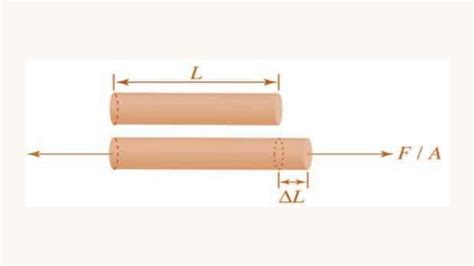 3 Elastic Constants Pptx