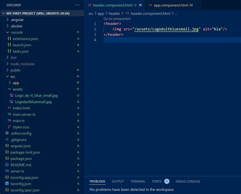 Javascript Why Are Images Not Displayed Using Angular And Visual Studio Code Stack Overflow