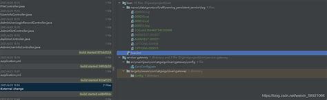 Idea不正常关闭导致服务启动异常的解决方案（还原本地历史版本和删除idea文件）idea异常关闭 Csdn博客