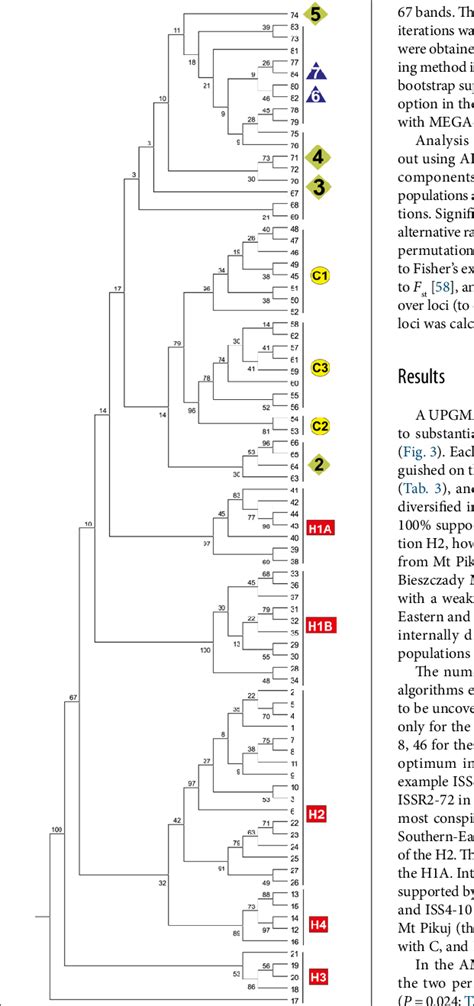 Upgma Clustering Based On The Reduced Set Of Issr Bands Of Aconitum Download Scientific Diagram