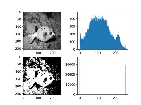 数据增强操作 一张图示例一个图做数据增强 Csdn博客