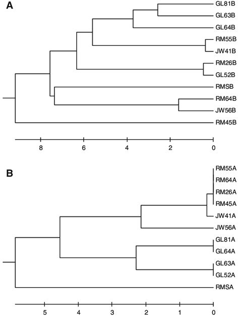 A Clustering Of The Different Bacterial 16s Rrna Gene Clone Libraries