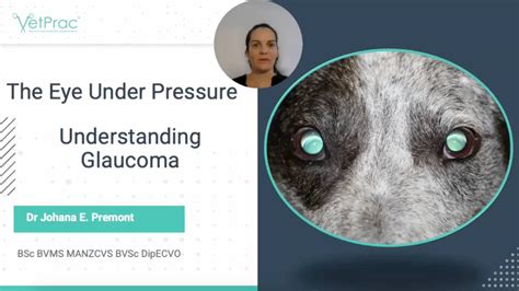 Understanding Glaucoma