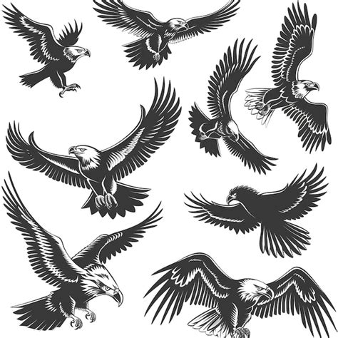 Set Of Vector Eagles Premium Ai Generated Vector