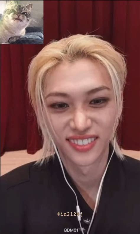 Пин от пользователя Beth Toppin на доске Lixie Мемы знаменитостей Знаменитости Смешные