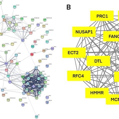 Common Degs Ppi Network Constructed By String Online Database And