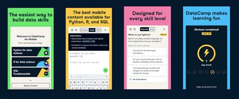 The Most Popular Mobile Coding Apps You Must Use Rule Tag