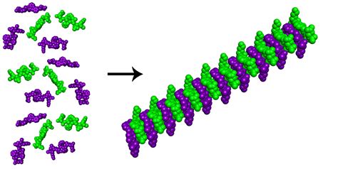 Beta Sheet Structure