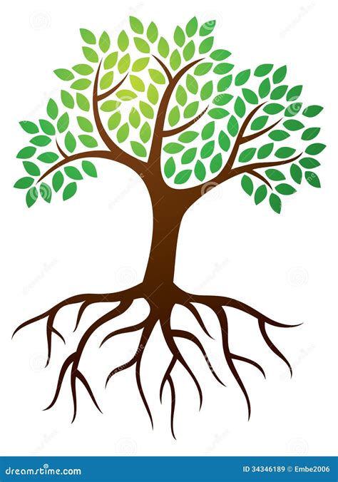 Tree Roots Logo Cartoon Vector 34346189