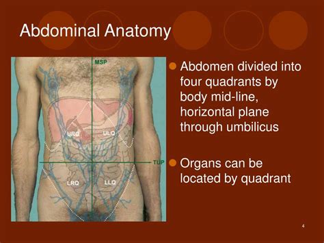 Lower Right Abdomen Anatomy 4 Abdominal Regions Chart Qzep