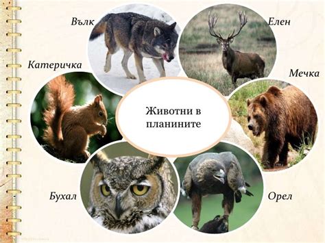 животински свят