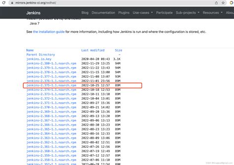 Jenkins安装过程以及问题解决sudo Yum Install Java 11 Openjdk 没反应 Csdn博客