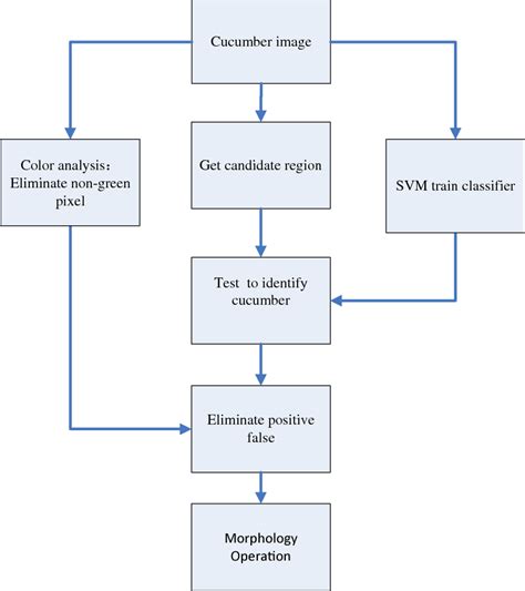 Figure 1 From Cucumber Detection Based On Texture And Color In Greenhouse Semantic Scholar