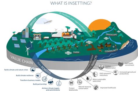 Lubomila Jordanova On Linkedin Insetting Emission Netzero Co2 Emissions