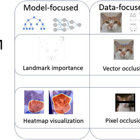 Demonstration Of The Different Explainability Approaches Used In This
