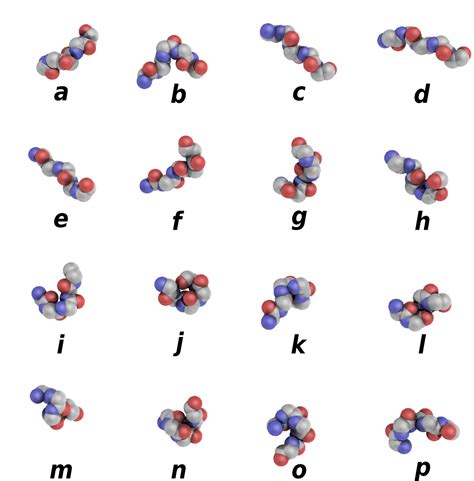 Protein Blocks Plouf