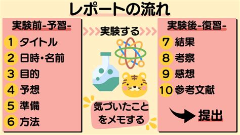 【中学理科】先生にハマる理科レポート 書き方のコツ4選を現役教員が徹底解説！｜理科バリーclub