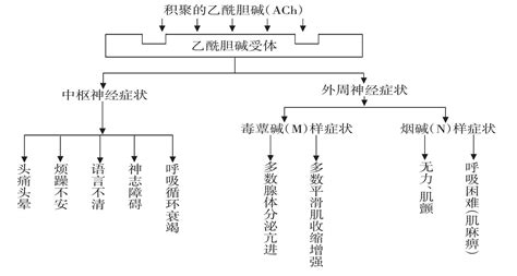 第四节 有机磷农药中毒机理与临床表现 有机磷农药及常见毒物中毒救治 医学