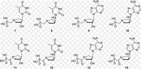 Rna单体化学合成白甲基吡咯烷png图片素材下载图片编号4515511 Png素材网