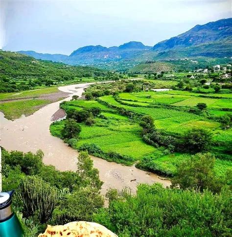 خلي الطاقة الايجابية تنفعك هههههههههههههههههههههههههههههههههههههههه