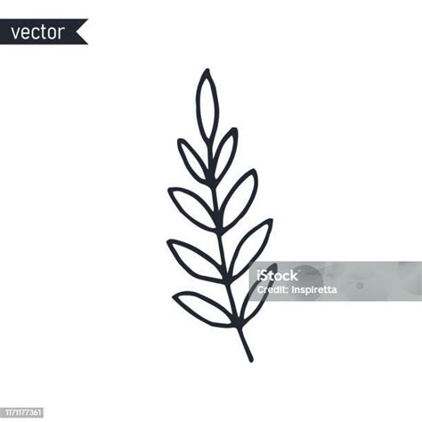 흰색 배경에 나뭇잎 윤곽선 간단한 벡터 손으로 그린 그림분기 가을에 대한 스톡 벡터 아트 및 기타 이미지 가을 개체 그룹 그리기 Istock