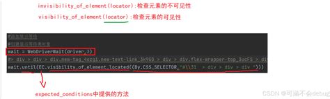 Selenium自动化测试秘籍：解锁常用函数实战指南selenium Flex Csdn博客