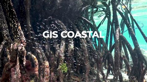 Gis Coastal Indonesia