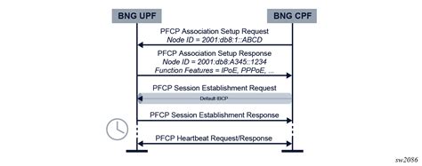 Pfcp Association