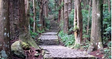 三池街道、歴史が息づく一本道」みやまを通る歴史｜みやまのまんま