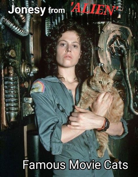 Latest Memes New Memes Memedroid