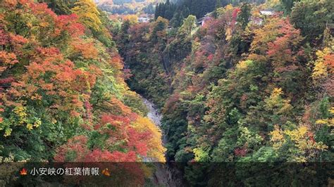 小安峡の紅葉情報 YouTube