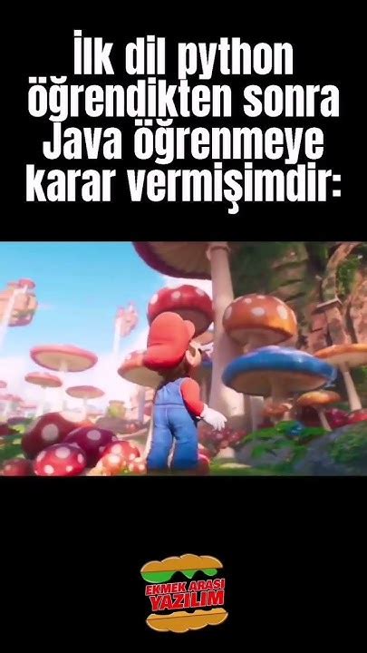 Python Frontendcourse Developer Programming Softwaredevelopment Coding Webdevelopment