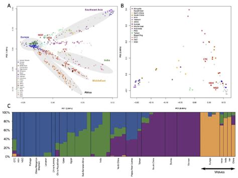 PCA And Population Structure Between Ancient And Contemporary Canids Download Scientific
