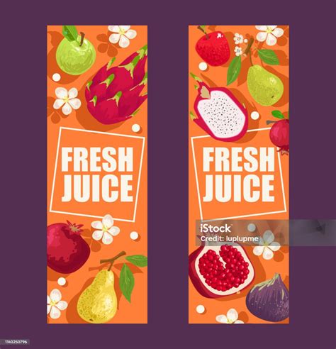 열 대 과일 배너 벡터 일러스트 레이 션의 설정 망고스틴 사과 용 과일 배 석류 석 등의 이국적인 여름 제품 나뭇잎과 꽃입니다 반쪽과 전체 과일 0명에 대한 스톡 벡터 아트