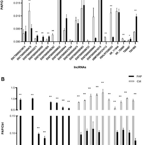 Validation Of De Lncrnas And Mrnas A De Lncrnas Were Confirmed Using