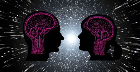 Highly Reproducible Sex Differences In Aspects Of Human Brain Anatomy