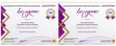 საპრასიის საჯარო სკოლის მოსწავლეები ნიკოლოზ ხურციძე და ნინი ოქროპილაშვილი ინტელექტ ჩემპიონატ