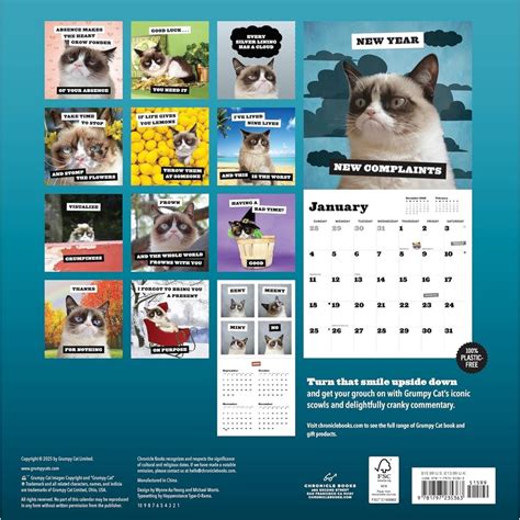 Chronicle Books 2026 Wall Calendar Grumpy Cat Art Supplies