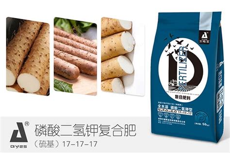 种山药哪些问题需注意上什么复合肥好 农化服务 行业动态 复合肥 复合肥生产厂家 高塔复合肥 大量元素水溶肥 微生物菌肥生产厂家