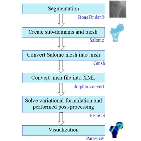 Open Source Software Framework Used For Bone Remodeling Simulations Download Scientific Diagram