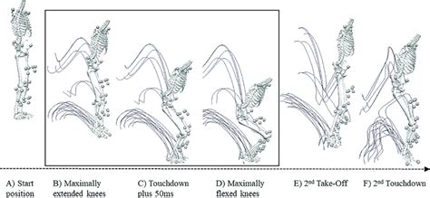 The Vertical Drop Jump Test Illustration Of One Asymptomatic Control