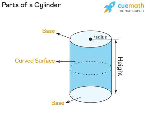 Surface Area Of A Cylinder Formula Tsa And Csa