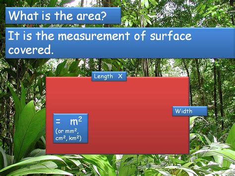 Perimeter Of Square And Rectangle Lesson Plan At Marcus Vanhoose Blog