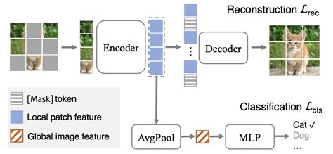 Mask Autoencoder 各类变体 知乎