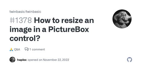 How To Resize An Image In A Picturebox Control · Twinbasic Twinbasic