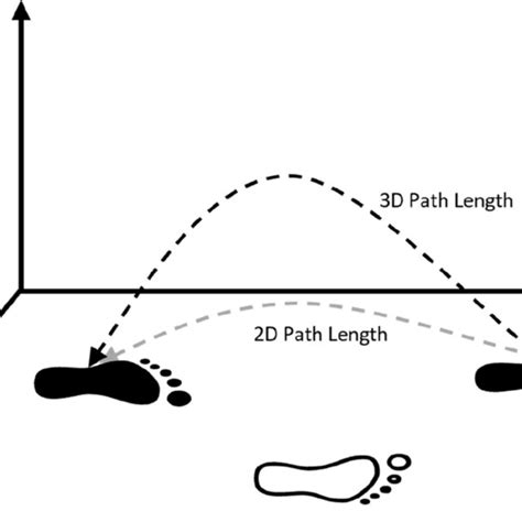 Diagram Of 2d And 3d Path Length Trajectory During A Stride Download Scientific Diagram